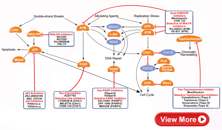 Selleck Inhibitors